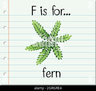 Flashcard letter F is for fern Stock Vector Image & Art - Alamy