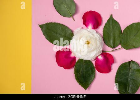 beautiful flower petals, flower line design Stock Photo - Alamy