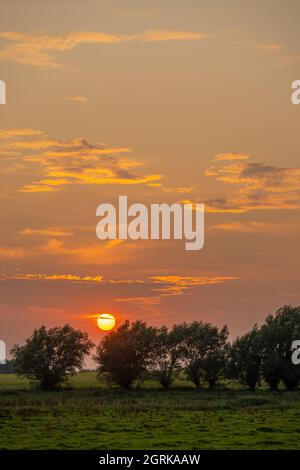 Godney, Somerset, GB, United Kingdom, England, N 51 11' 6'', S 2 45' 24 ...
