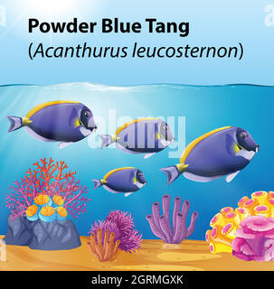 Fishes In Aquarium Clipart Vector Illustration. Fish Tank Isolated On ...