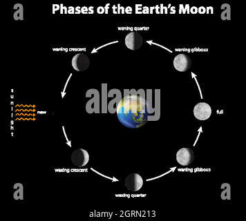 Diagram showing phases of earth moon illustration Stock Vector Image ...