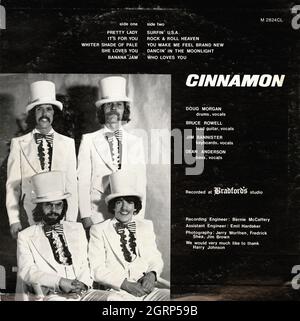 Cinnamon - Vintage Vinyl Album Stock Photo - Alamy