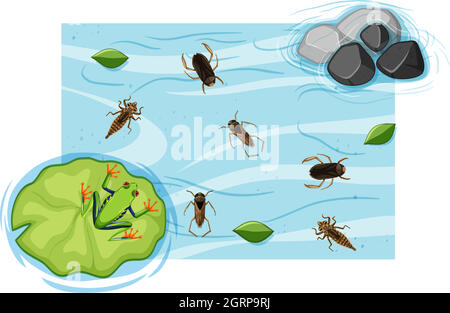Top view of aquatic insects in the pond illustration Stock Vector Image ...