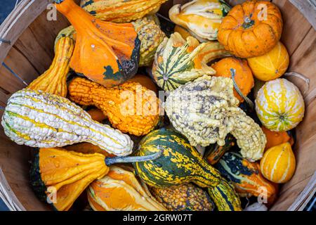 A basket of gourds on display at a farmer's market Stock Photo - Alamy