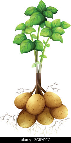 stem with leaves Stock Vector Image & Art - Alamy