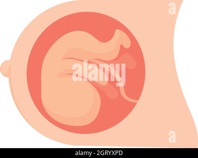 Fetus icon in cartoon style isolated on white background. Pregnancy ...