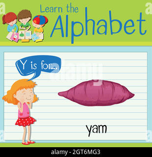 Flashcard letter Y is for yam illustration Stock Vector Image & Art - Alamy