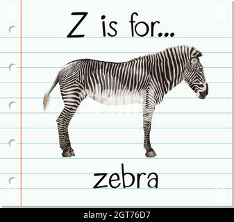 Alphabet flashcard with letter Z for Zebra illustration Stock Vector ...