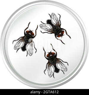 Illustration of the flying insects on a white background Stock Vector ...