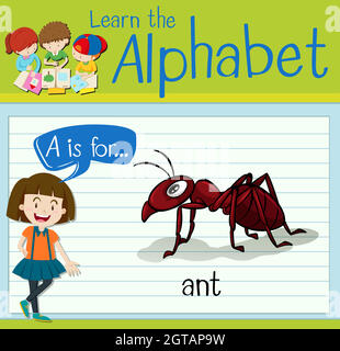 Flashcard A is for ant illustration Stock Vector Image & Art - Alamy