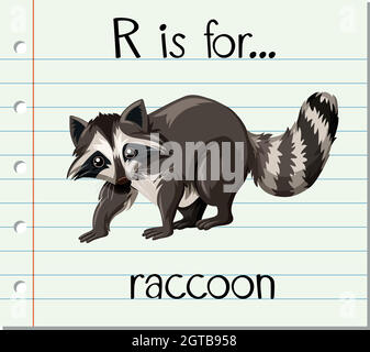 Flashcard letter R is for raccoon illustration Stock Vector Image & Art ...