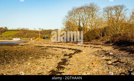 Wrack Zone showing the high tide line debris on an estuary salt marsh ...