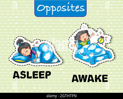 Opposite words with awake and sleep illustration Stock Vector Image ...