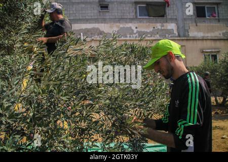 Al- Shujiaia, Gaza Strip, Palestine. 2nd Oct, 2021. Gaza Strip ...