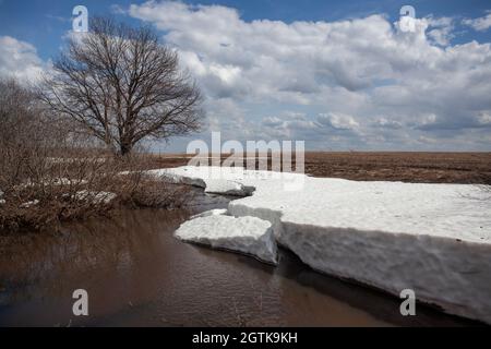 Spring streams and the remnants of unmelted snow under the cloudy sky ...
