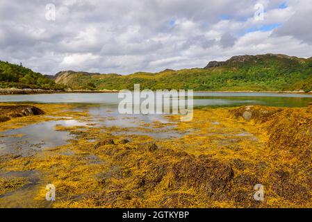 The North Channel, Loch Moidart, Scotland Stock Photo - Alamy