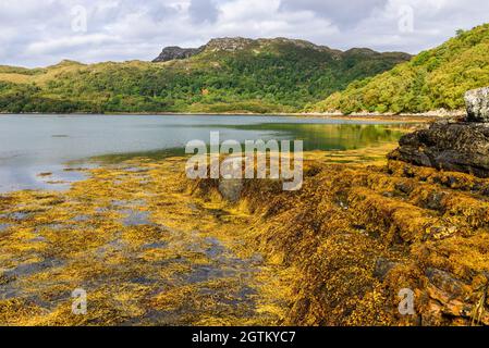 The North Channel, Loch Moidart, Scotland Stock Photo - Alamy
