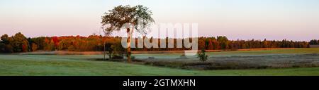 Elm tree and colorful leaves to mark the start of a Wisconsin fall ...
