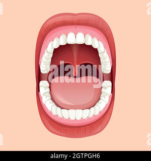 Human teeth dental anatomy concept with realistic jaw x-ray shot vector ...