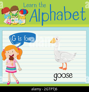Flashcard letter G is for goose Stock Vector Image & Art - Alamy