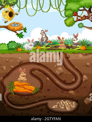 Underground animal burrow with rabbit family illustration Stock Vector Image & Art - Alamy