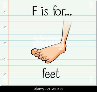 Flashcard letter F is for feet Stock Vector Image & Art - Alamy