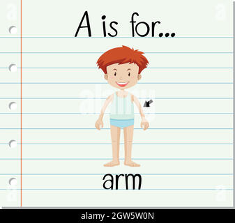 Flashcard letter A is for arm Stock Vector Image & Art - Alamy