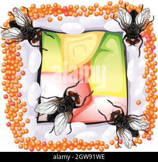 fly eating. Dirty insect. Animal parasite. Object isolated on white ...