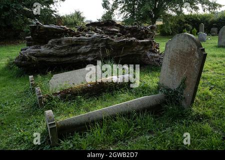 St Mary's parish church, Stelling Minnis, Kent, UK Stock Photo - Alamy