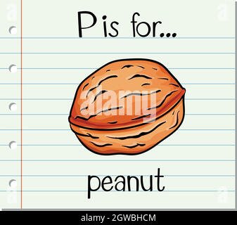 Flashcard letter P is for peanut Stock Vector Image & Art - Alamy