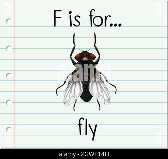 Flashcard letter F is for fly illustration Stock Vector Image & Art - Alamy