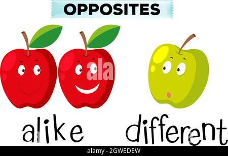 Opposite words with alike and different illustration Stock Vector Image ...