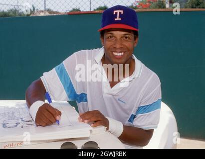 Michael Warren Circa 1980's Credit: Ralph Dominguez/MediaPunch Stock ...