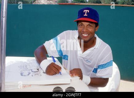 Michael Warren Circa 1980's Credit: Ralph Dominguez/MediaPunch Stock ...