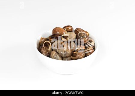 moroccan snails on white background. snails food, moroccan snails food ...