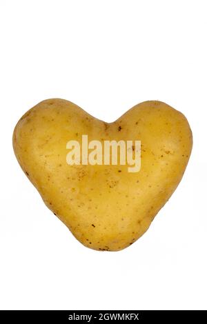 Heart-shaped potato in front of a pile of multicolored potatoes over a ...