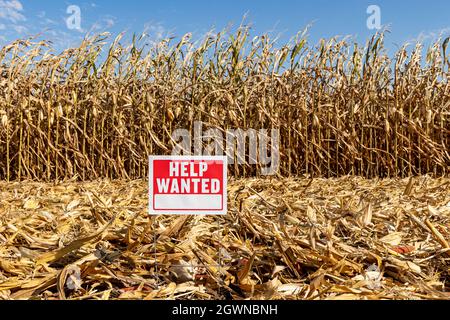 Help wanted sign in farm field during spring planting season. Farm ...
