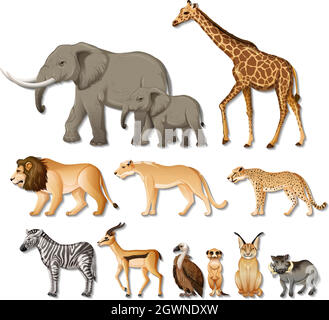 Zoo animals set with lion, leopard, tiger and bears. Big collection of ...