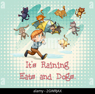 It's raining cats and dogs Stock Vector Image & Art - Alamy