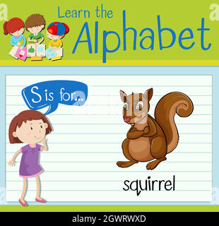 Flashcard letter S is for squirrel illustration Stock Vector Image ...