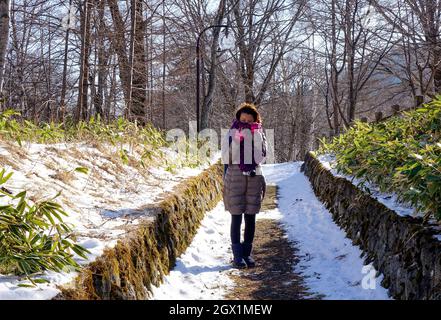Traveler at winter forest of Nikko, Japan. Nikko is famous for its ...