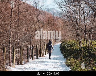 Traveler at winter forest of Nikko, Japan. Nikko is famous for its ...