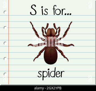 Flashcard alphabet S is for spider illustration Stock Vector Image ...