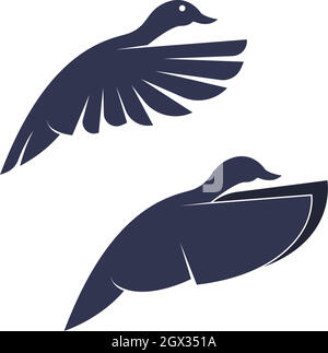 Creative Feather Concept Logo Design Template Stock Vector Image & Art ...