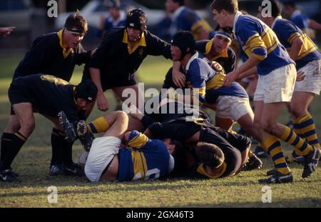 RUGBY UNION GAME IN PROGRESS, NEW SOUTH WALES, AUSTRALIA. A JUMPER IS ...