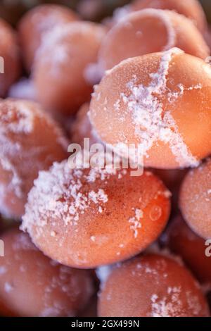 Ancient method of boiling brine into pure salt in Bo Kluea, Nan ...