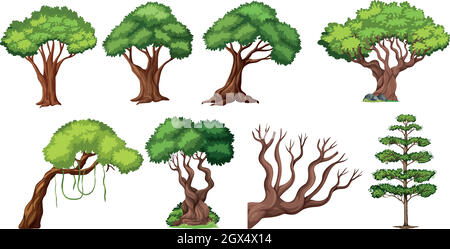 Set of different tree design illustration Stock Vector Image & Art - Alamy