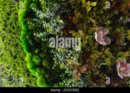 round picture of green decorative moss with LED lighting on the wall ...