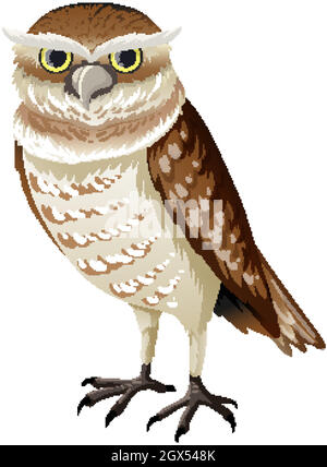 An illustration of a beautiful owl isolated on a white background Stock ...
