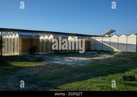 Abandoned white and wooden bathing structures on the sandy beach of ...